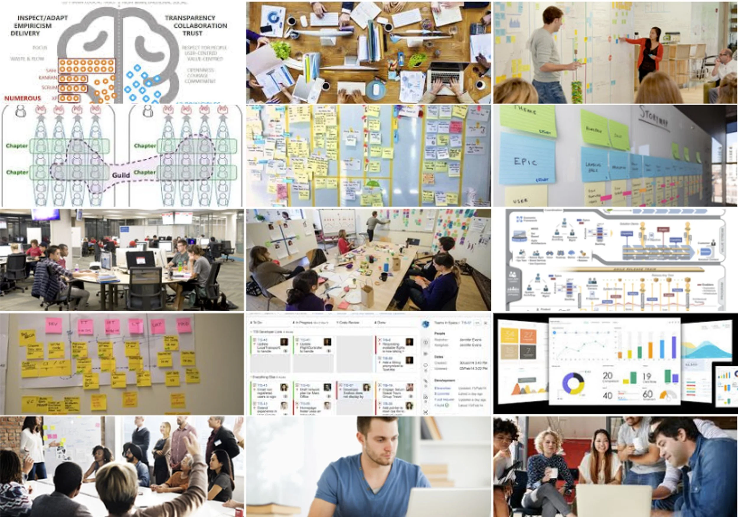 9 Changes to Build an Agile Way of Working Backbone | agileXL