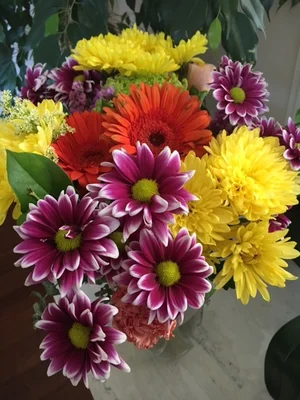 HAPPY PIC — Sooner Than Tomorrow