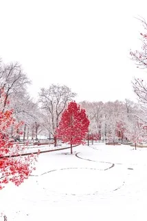 HAPPY PIC — Sooner Than Tomorrow