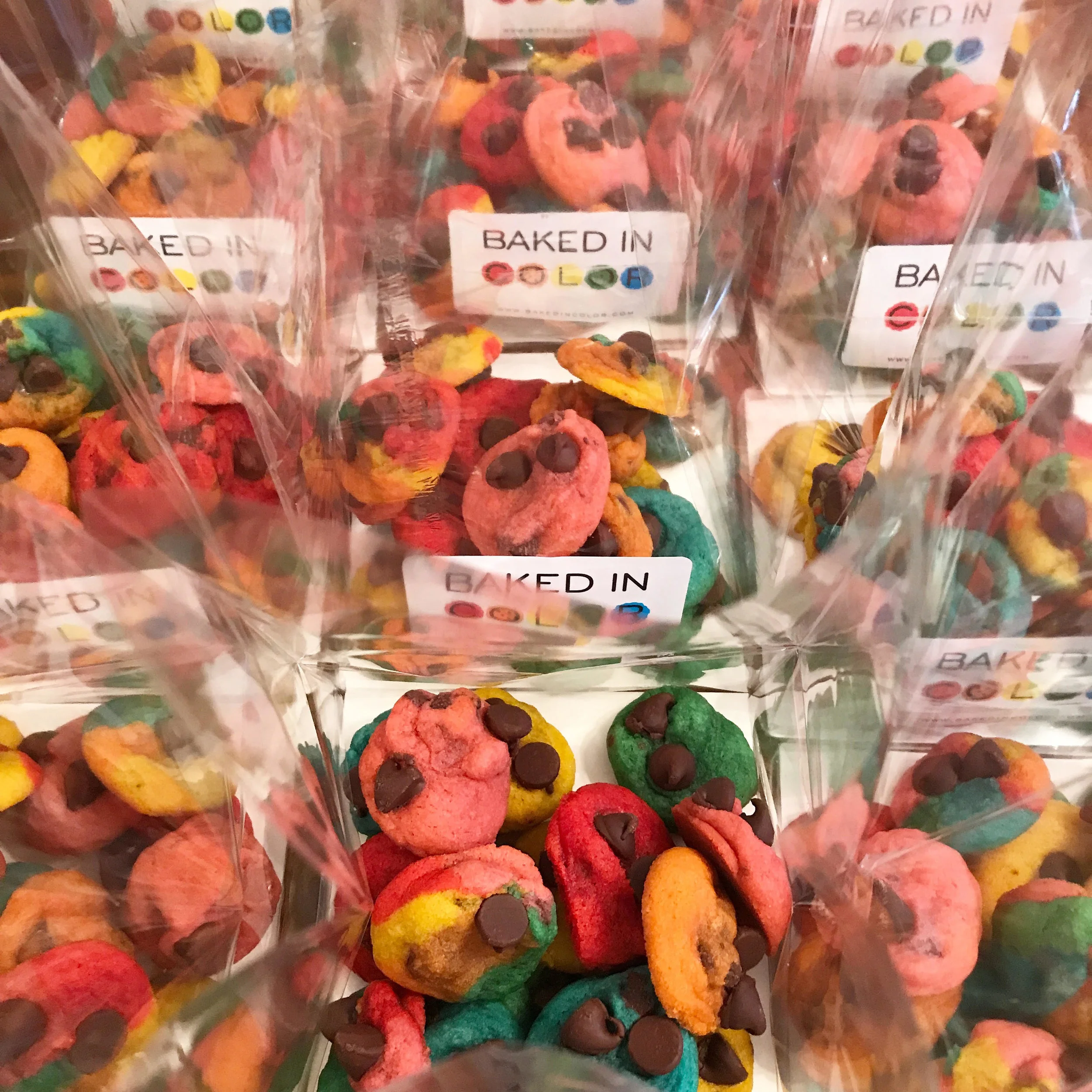 SHOP — Baked In Color