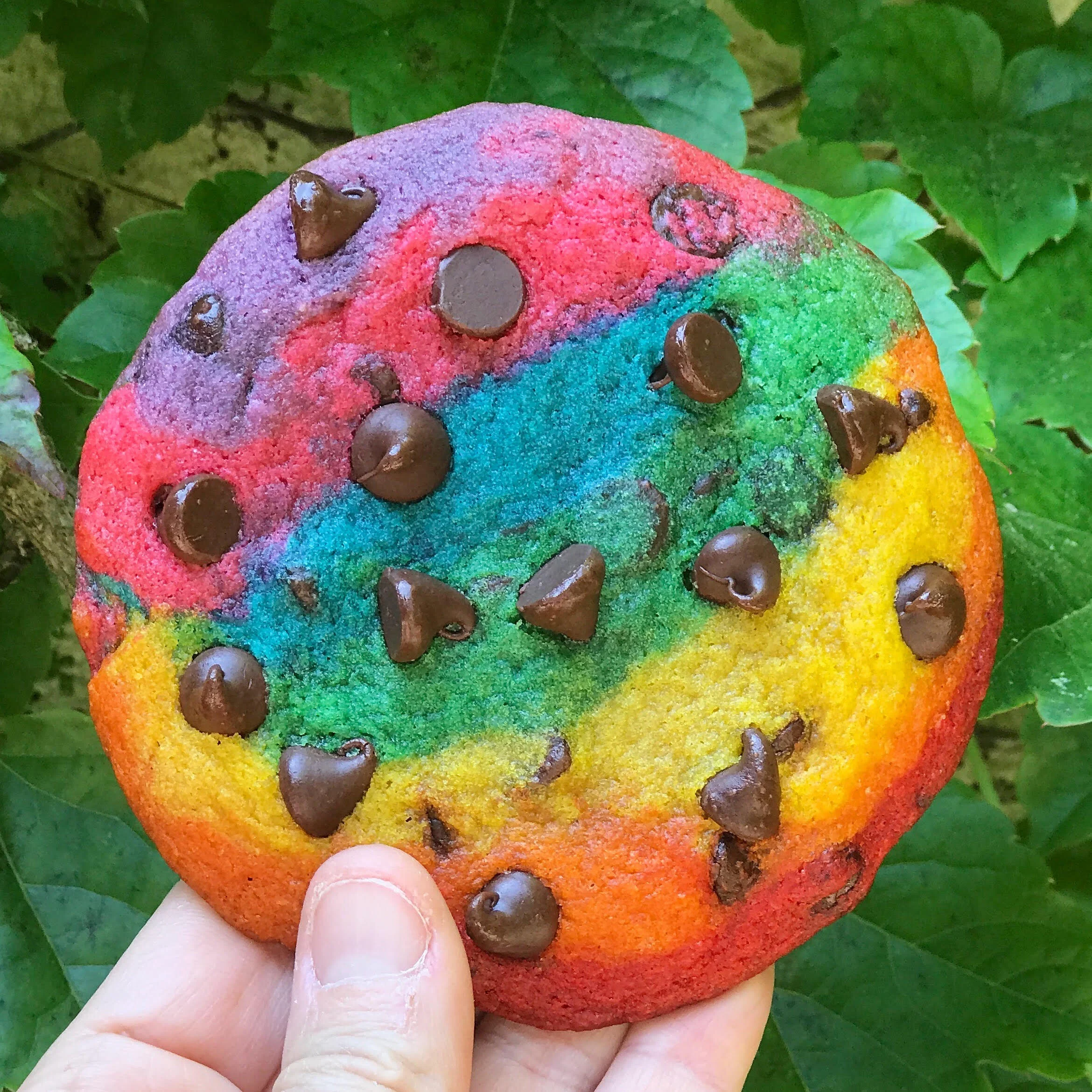 SHOP — Baked In Color