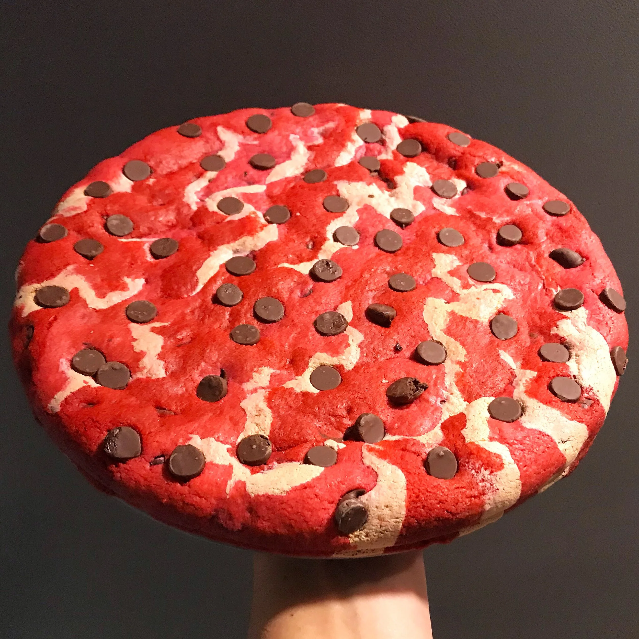 SHOP — Baked In Color