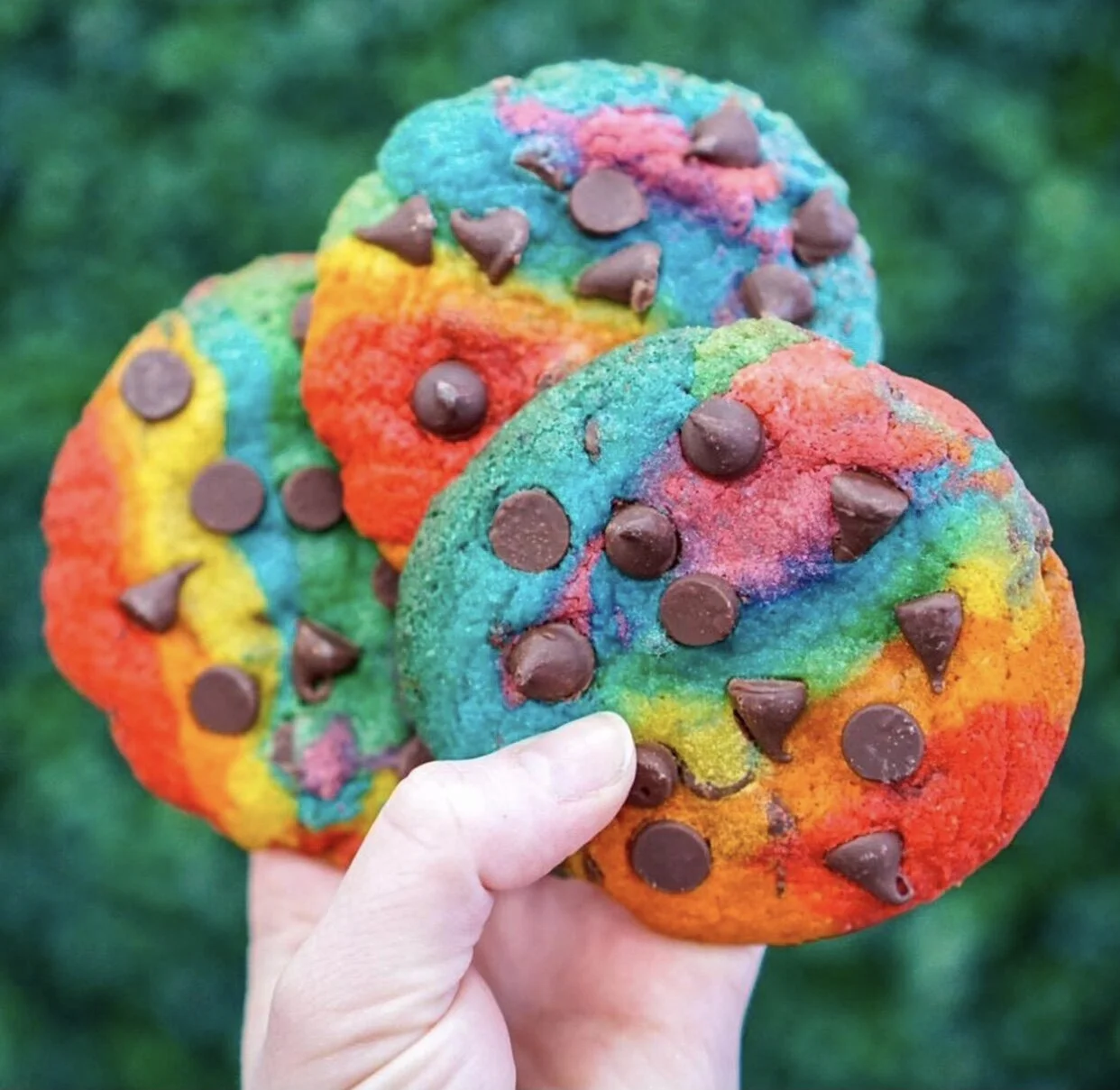 Rainbow Brookie Cookie Combo Pack — Baked In Color