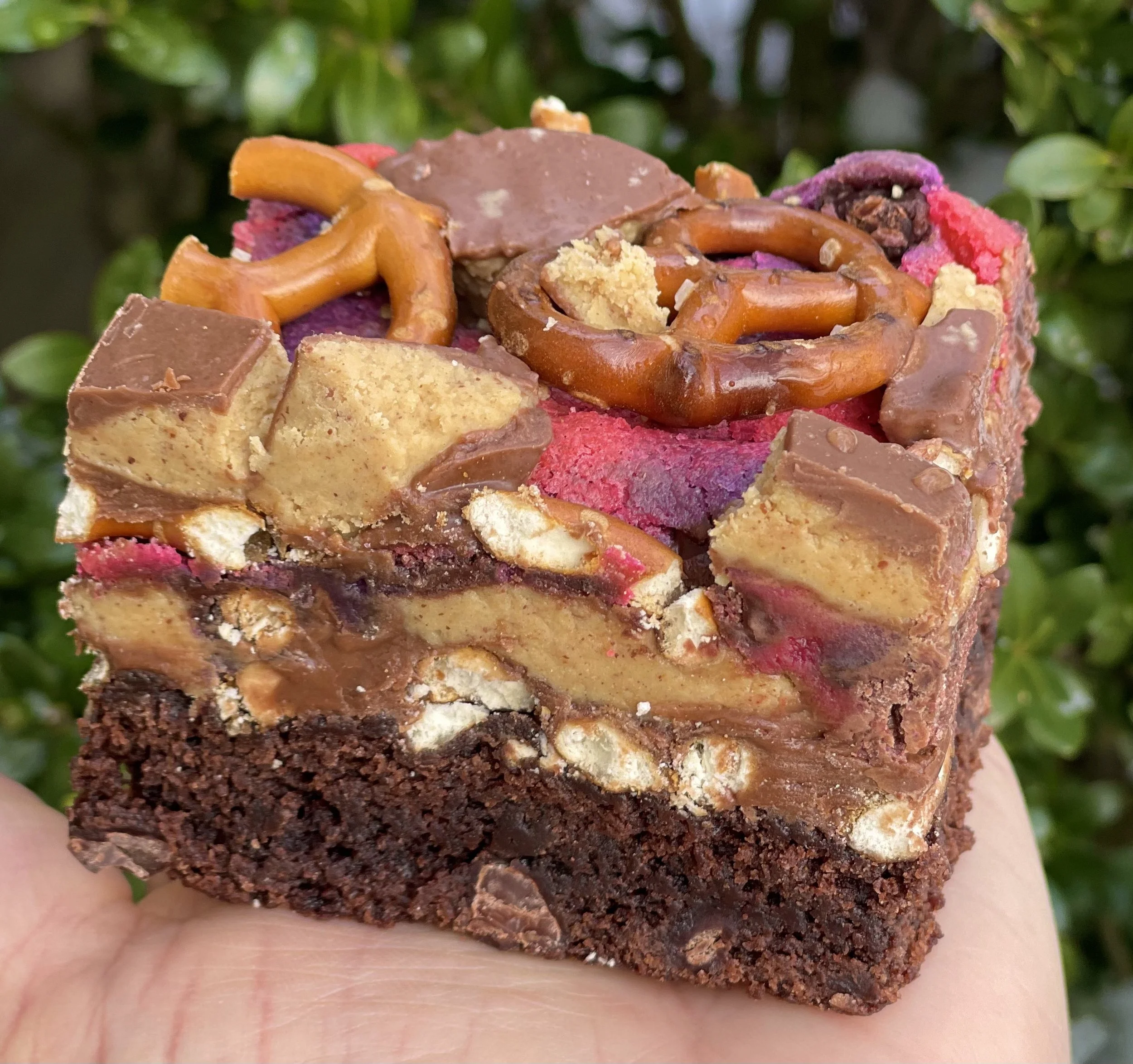 SHOP — Baked In Color