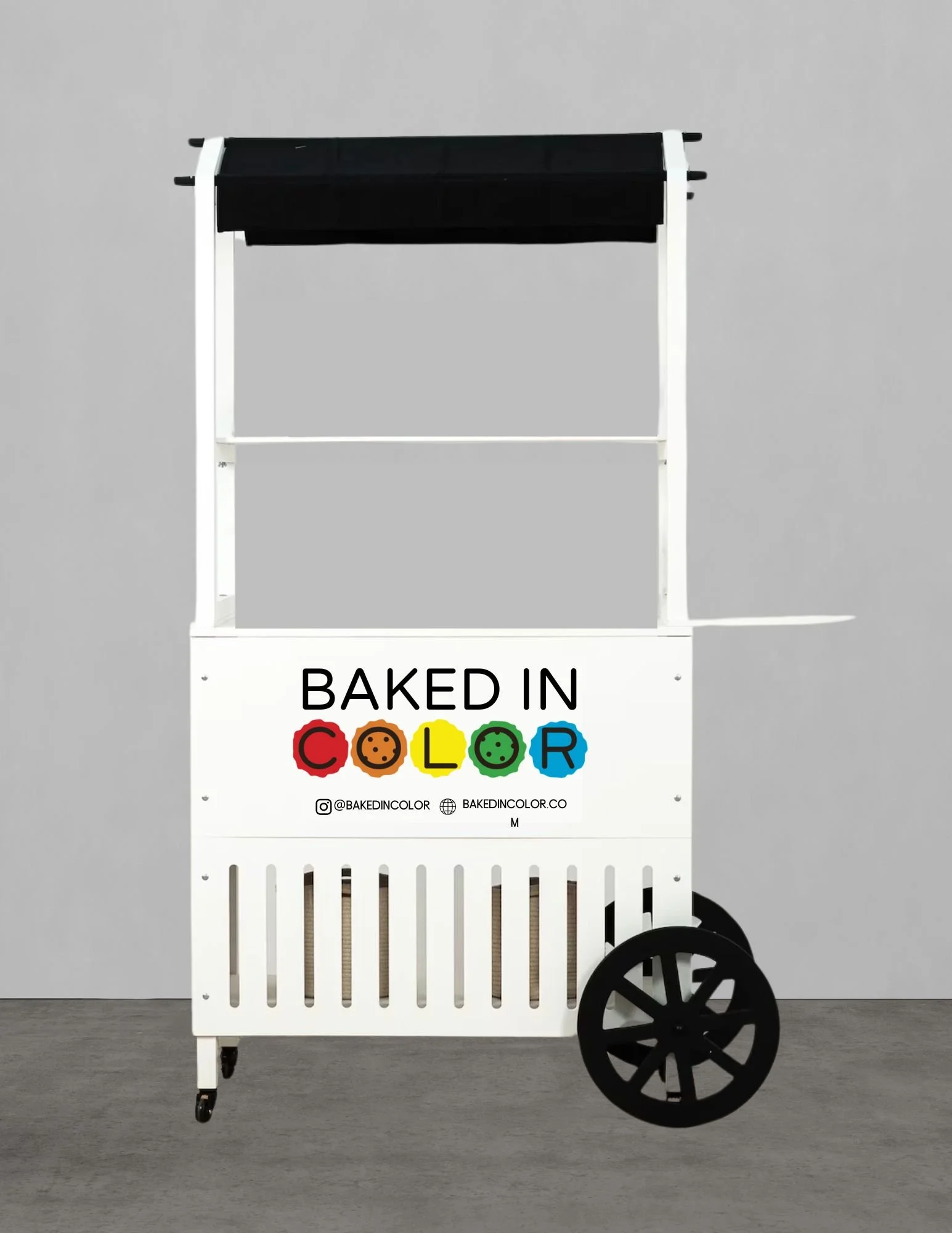 SHOP — Baked In Color