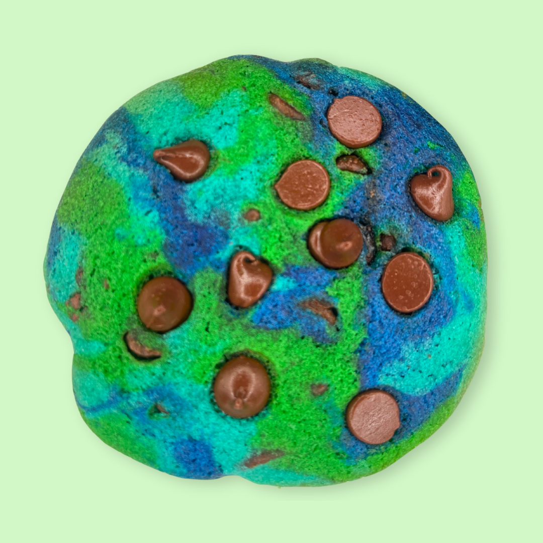 SHOP — Baked In Color