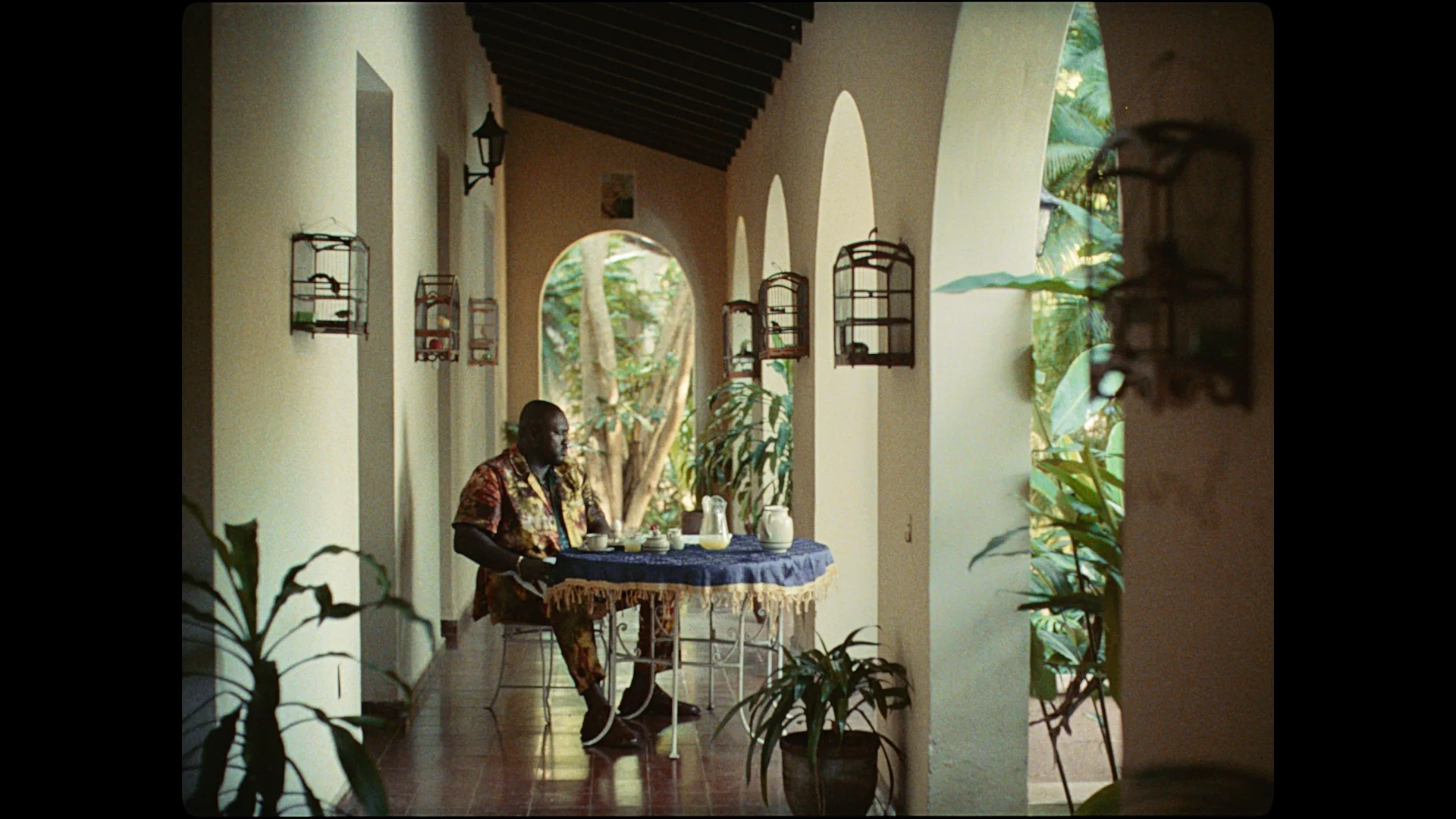 GUAVA ISLAND — CHRISTIAN SPRENGER ASC