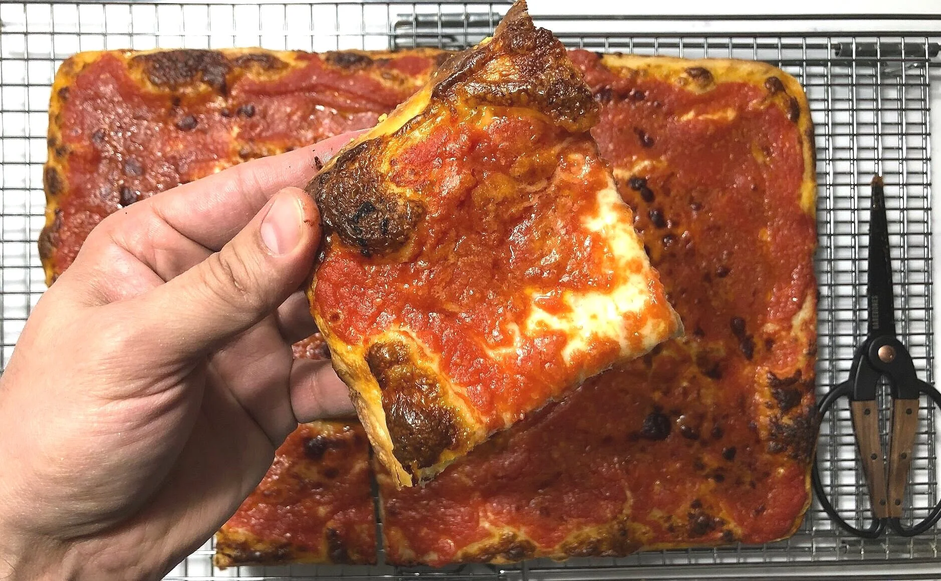 Pizza Sauce — Forza Pizza