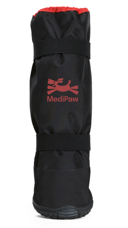 Animal Braces (orthotics) and artificial legs (prosthetics)