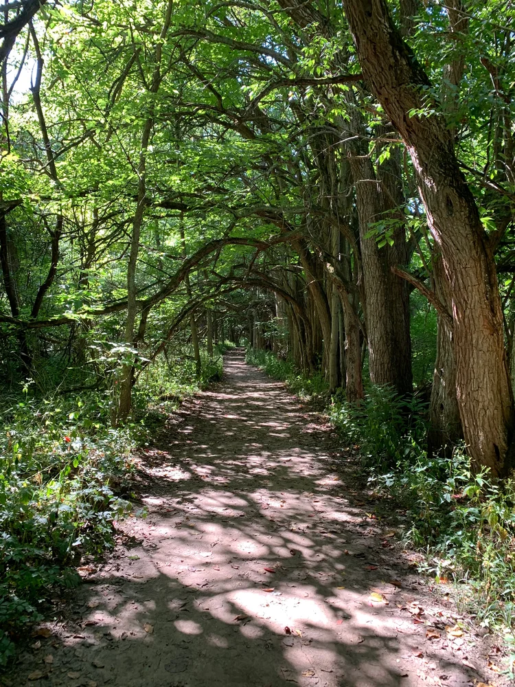 A Sweet trip in Nature: Sugar Creek Park — Uncultured Palate