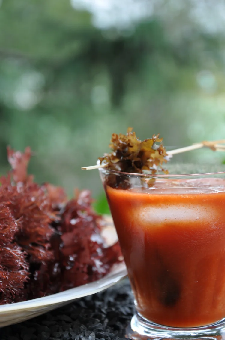 Culinary Inspirations — Monterey Bay Seaweeds