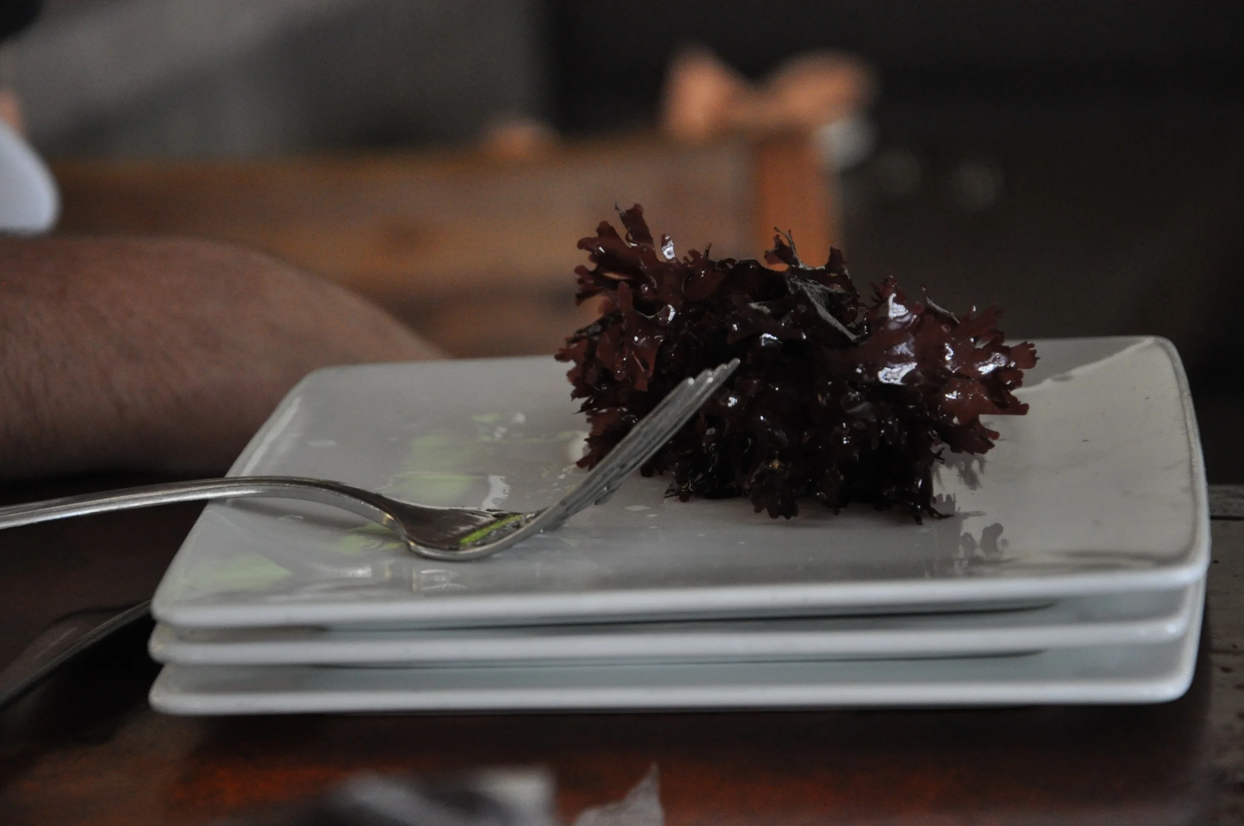 Seaweed Inspirations — Monterey Bay Seaweeds