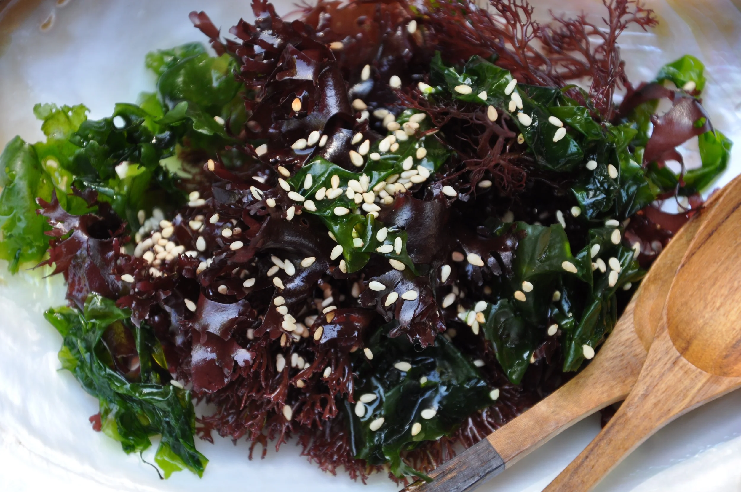 Culinary Inspirations — Monterey Bay Seaweeds
