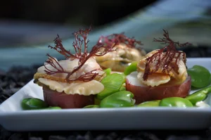 Culinary Inspirations — Monterey Bay Seaweeds