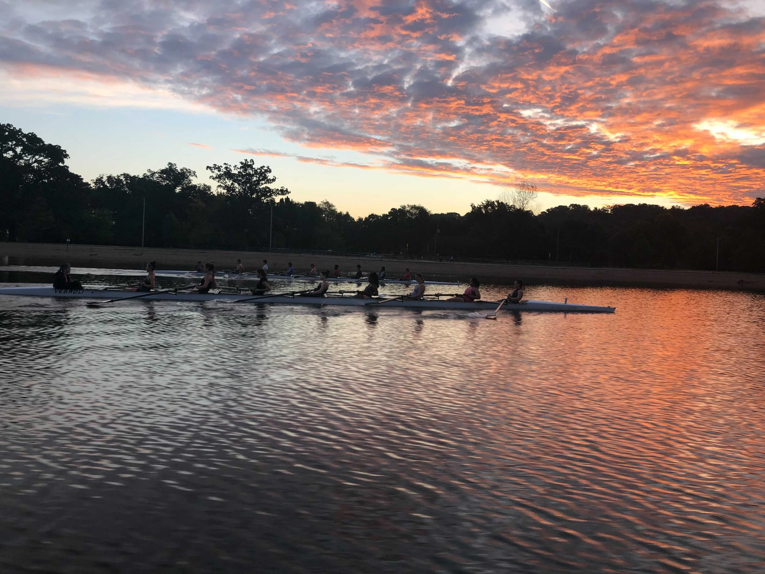 Photo Gallery — Washington University Rowing