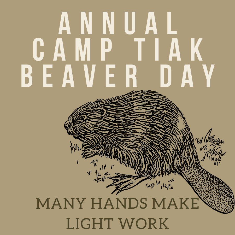 Beaver Day — Pine Burr Area Council - South Mississippi Scouting