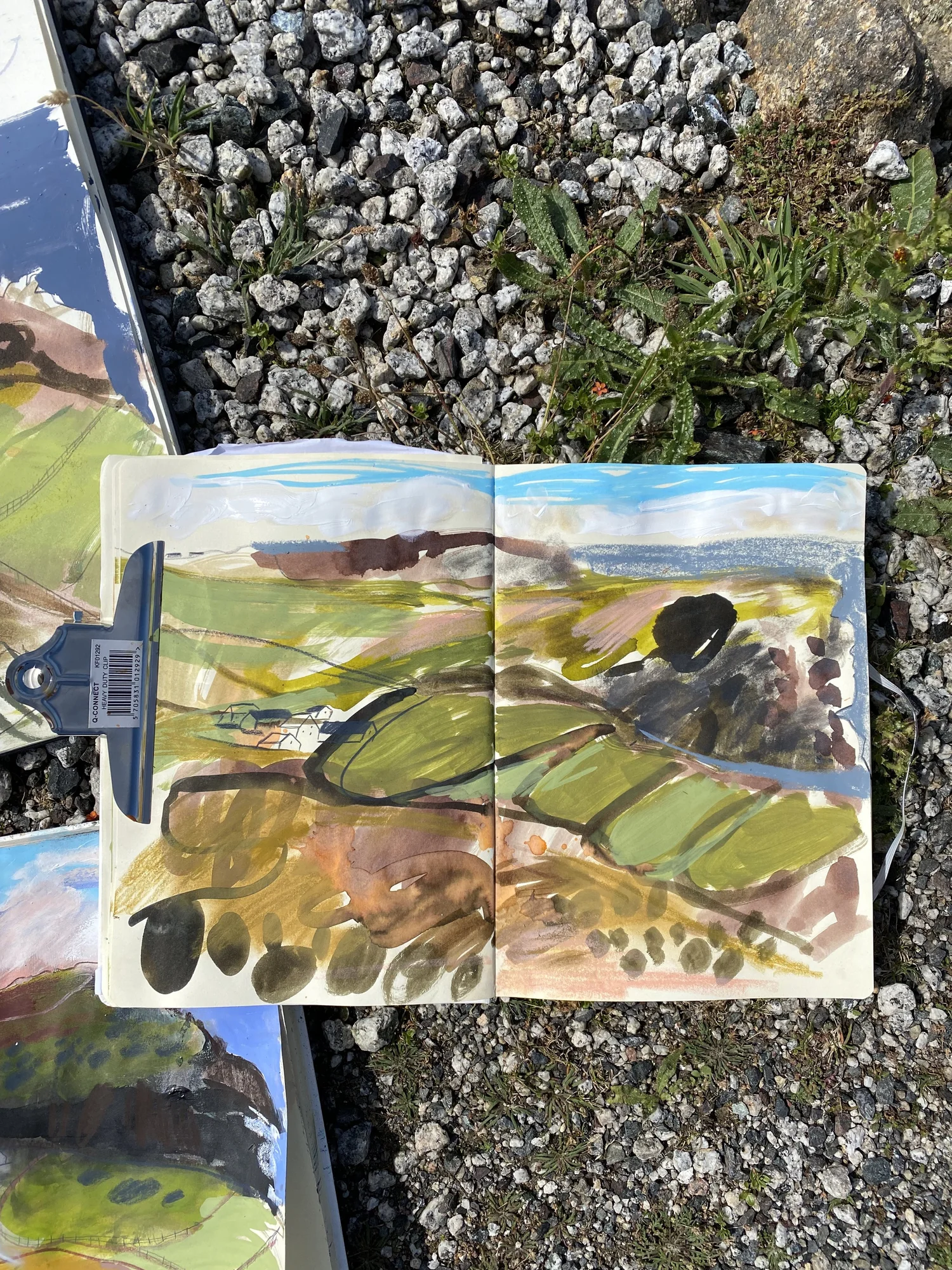 Sketchbooks — Emma Carlisle