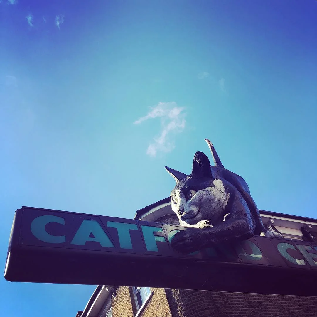 A Brief History of The Catford Cat — South London Club