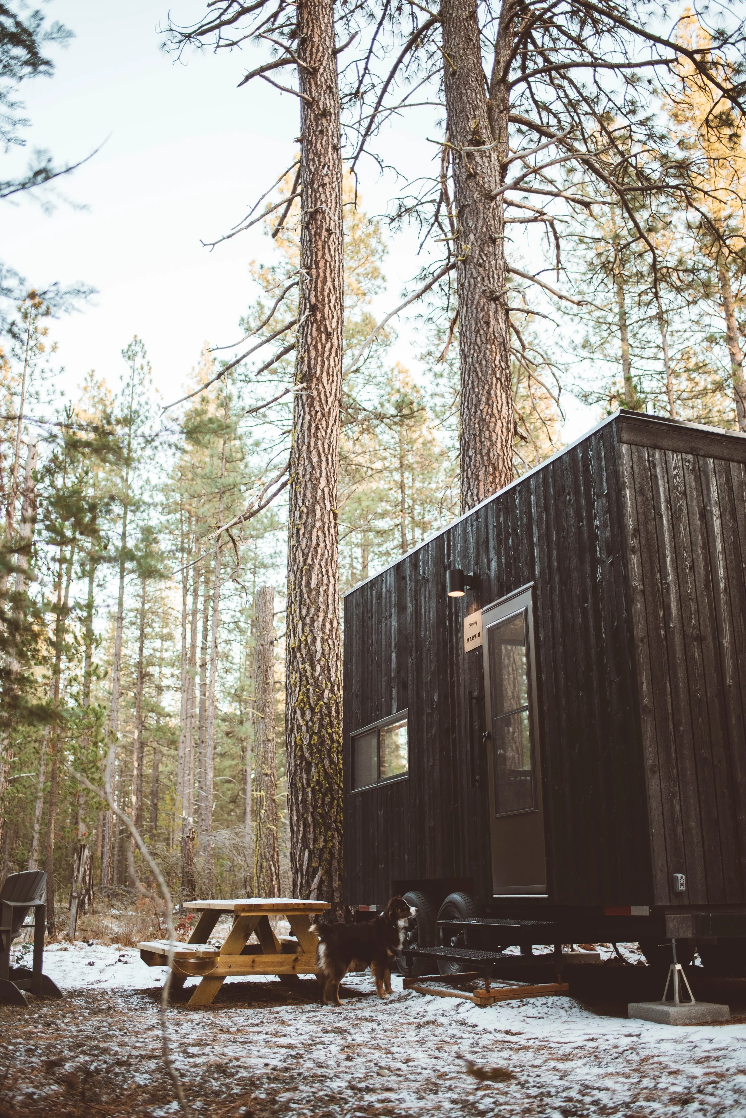 Explore Cabin Homes & Getaway House Seattle | Here & Away