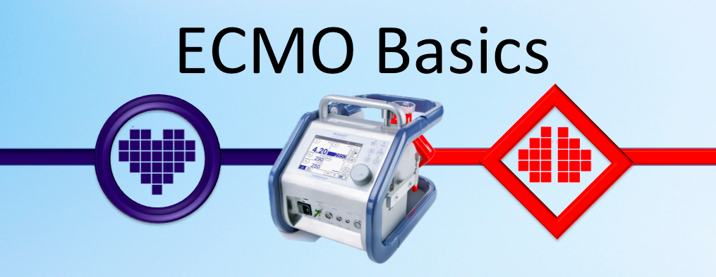 ECMO Basics — learnECMO