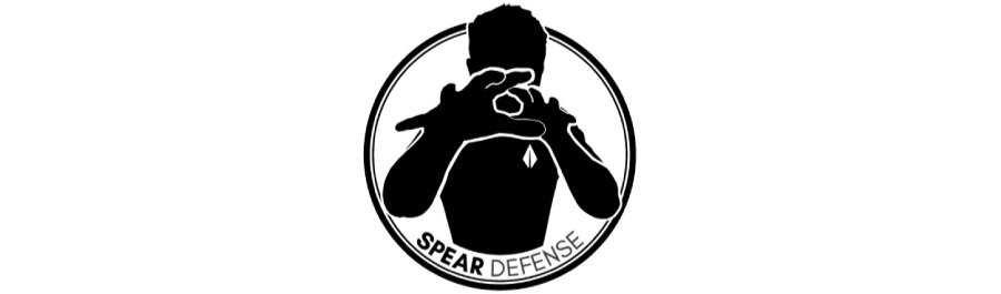 Training Options — Blauer Spear System