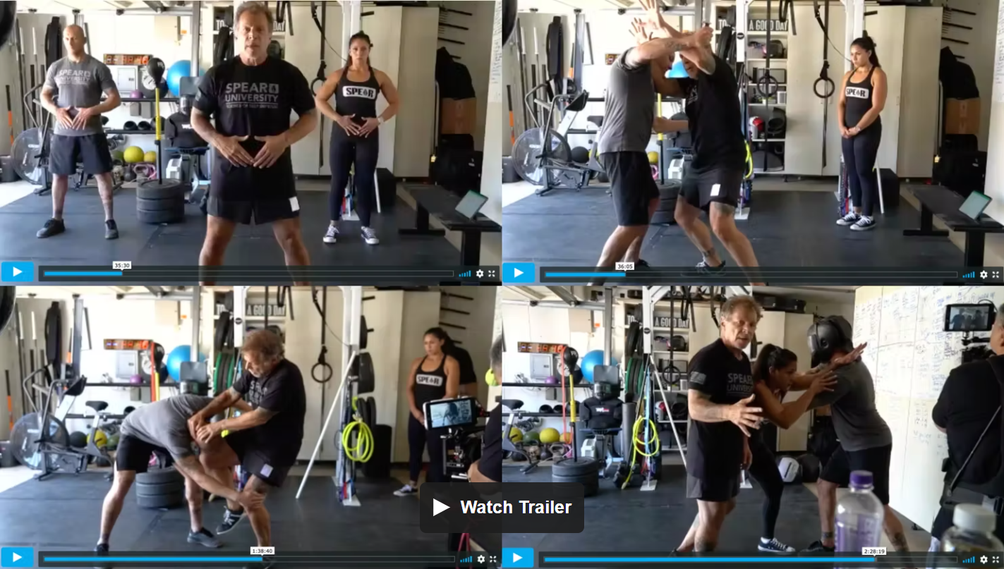 Tactical Garage Gym — Blauer Spear System