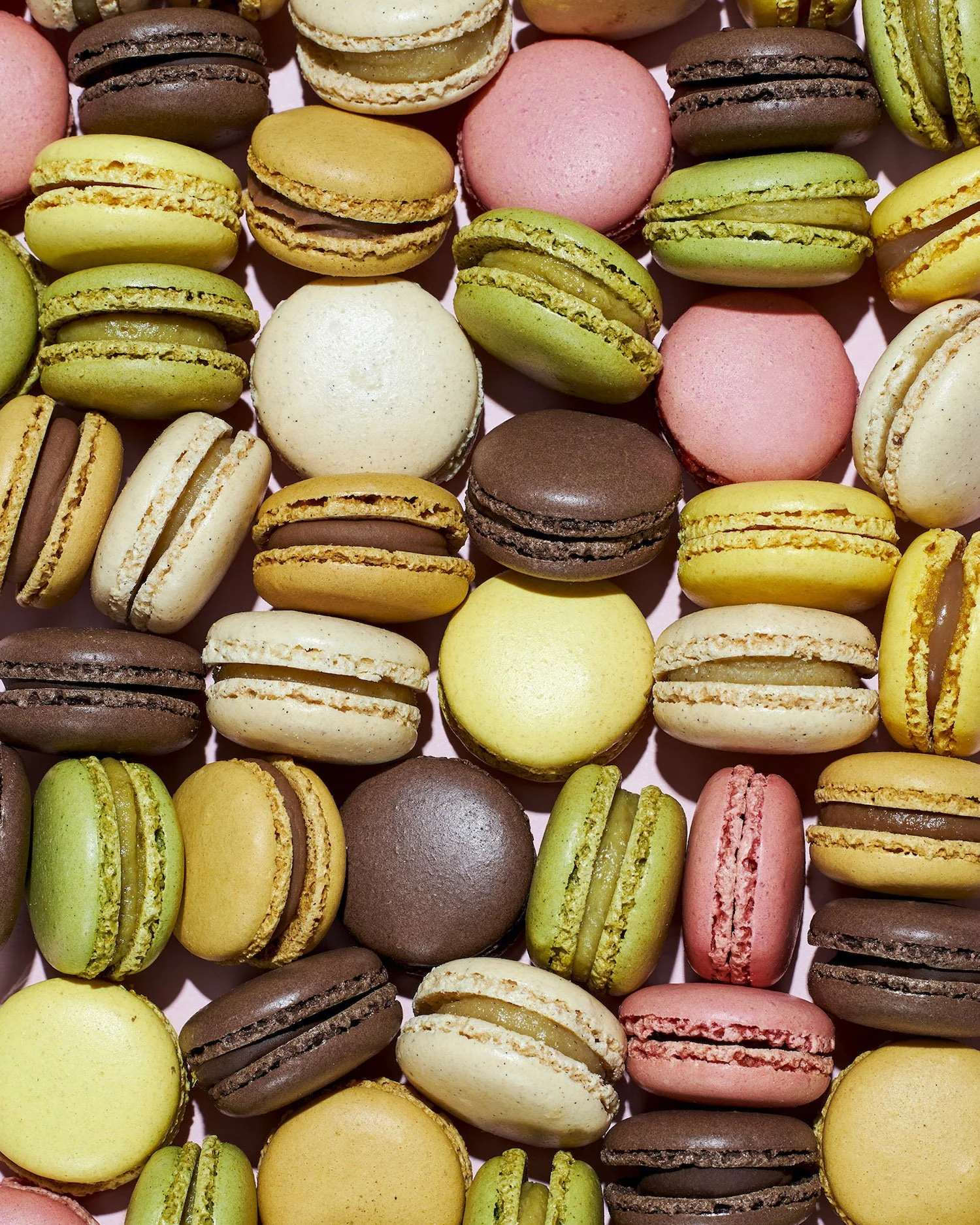 News From Our Photographers — Flock