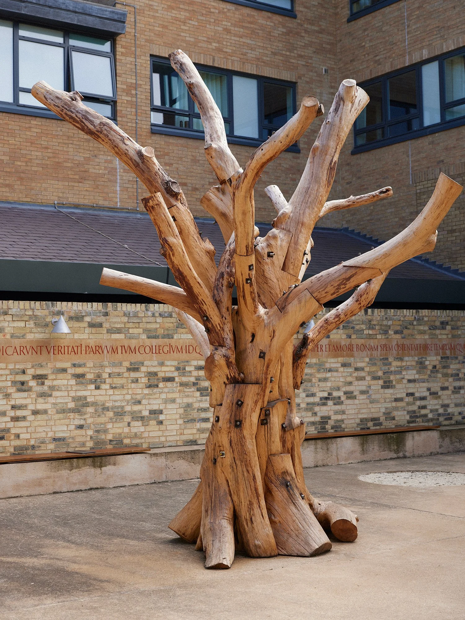 Chris Floyd - Ai WeiWei / P — Flock