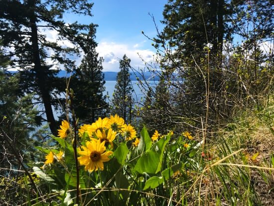 Hikes Near Flathead Lake — Flathead Lake Resort
