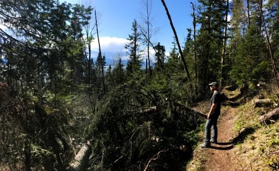 Hikes Near Flathead Lake — Flathead Lake Resort
