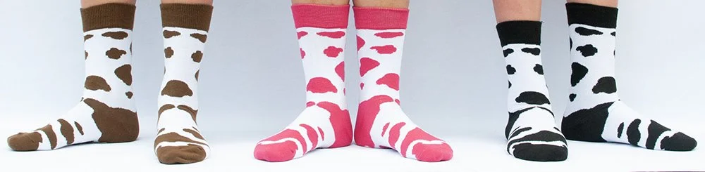 FCCLA — We Help Two