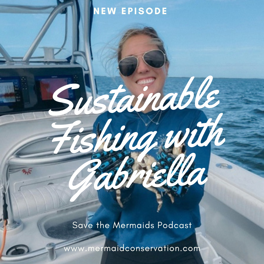 Sustainable Fishing - Save the Mermaid Podcast Interview — ≋ Life in ...