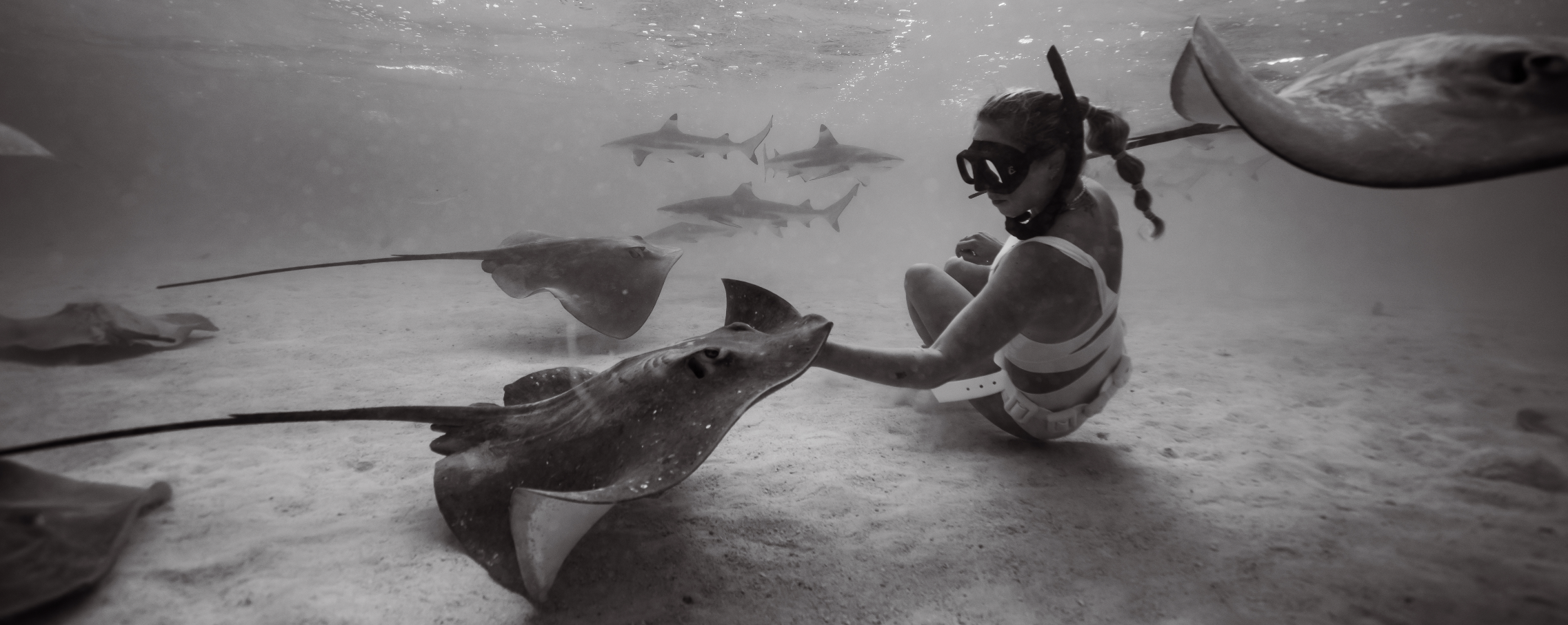 Conch Anatomy 101 : What I Learned in the Bahamas 🐚🇧🇸 — ≋ Life in ...