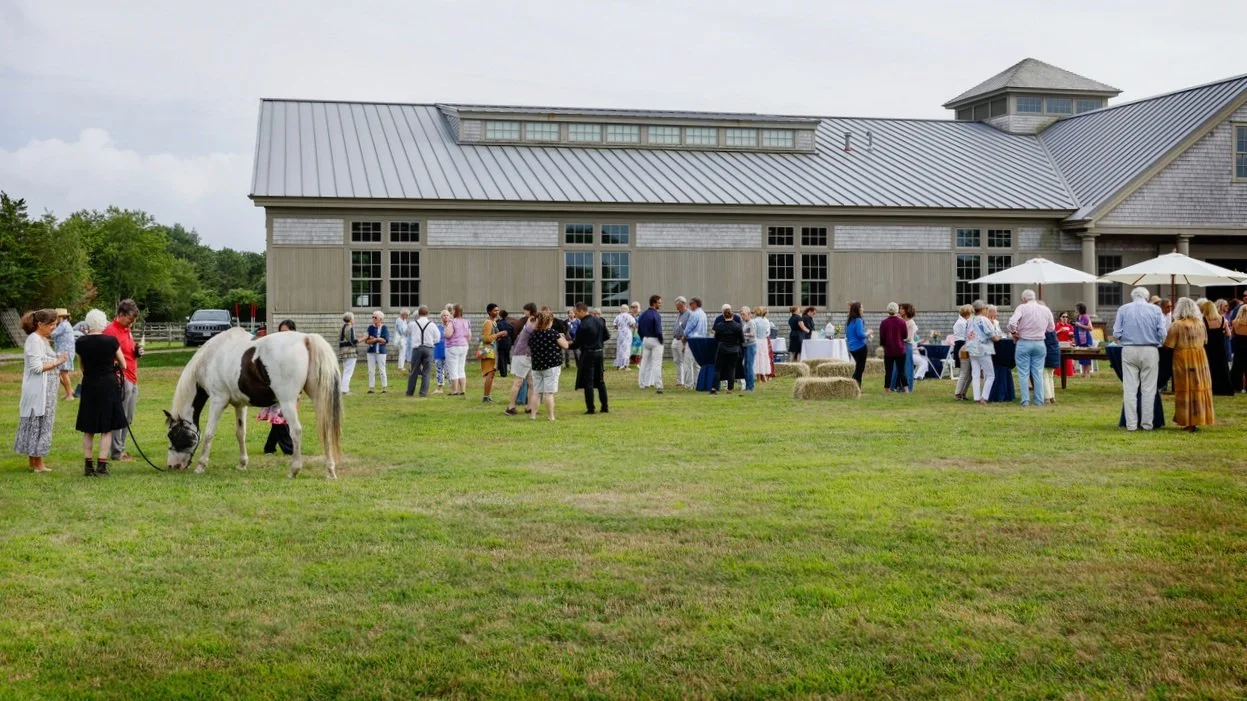 Annual Report 2024 — Misty Meadows Equine Learning Center