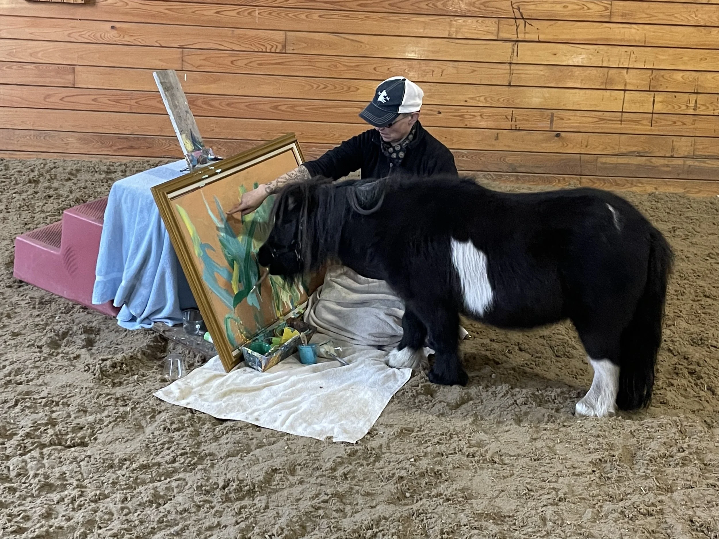 Equine Assisted Learning (EAL) — Misty Meadows Equine Learning Center