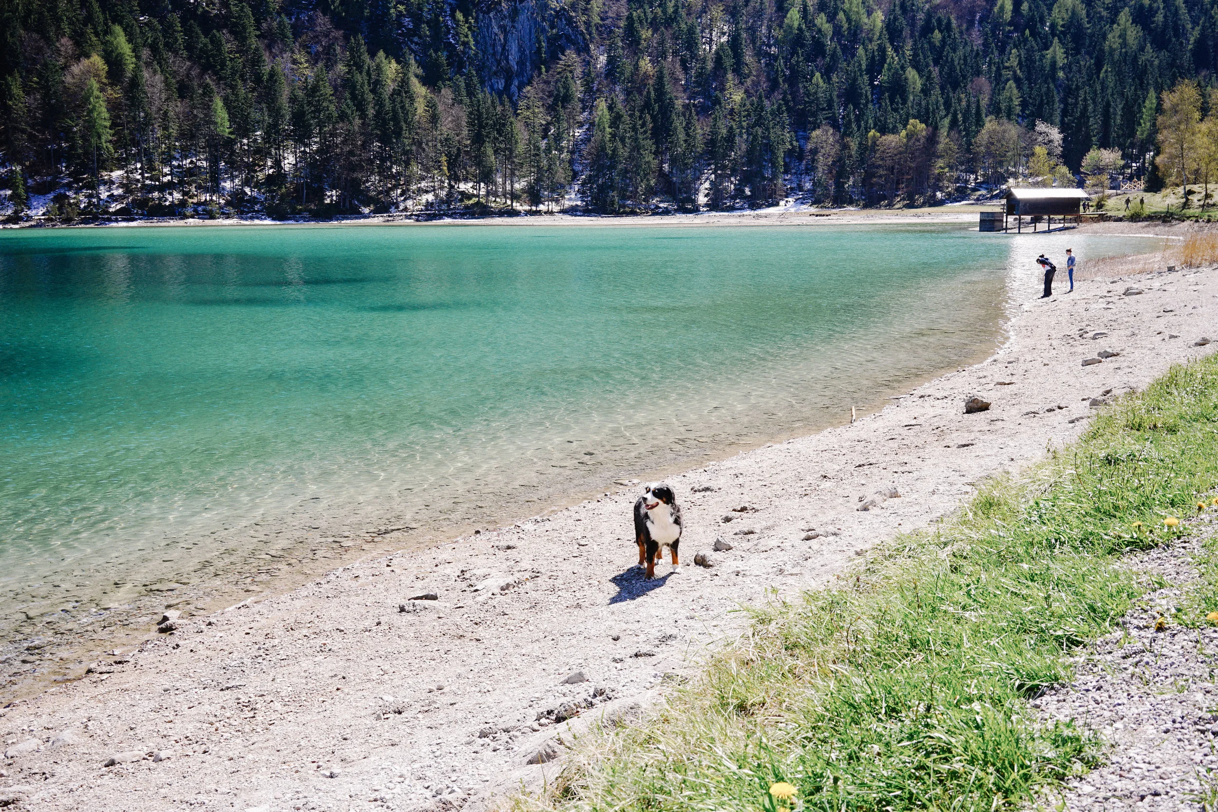 Hintersteiner Lake, A Must See in Austria — monetsommers