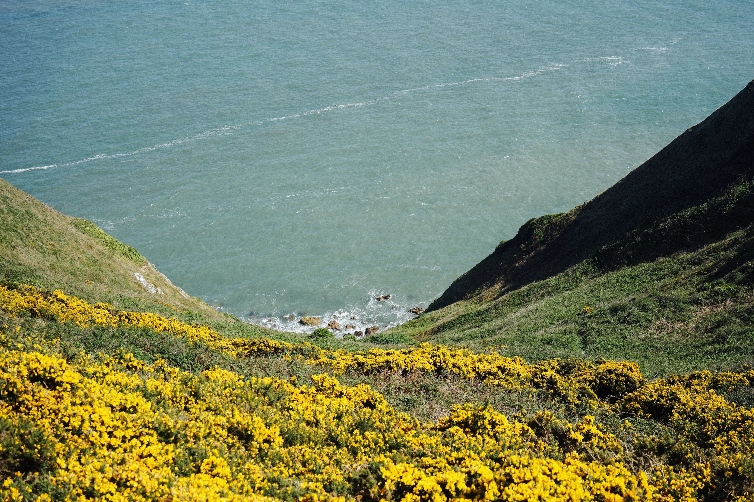 A Breathtaking Trip 30 Minutes Outside of Dublin, Howth Cliffs ...