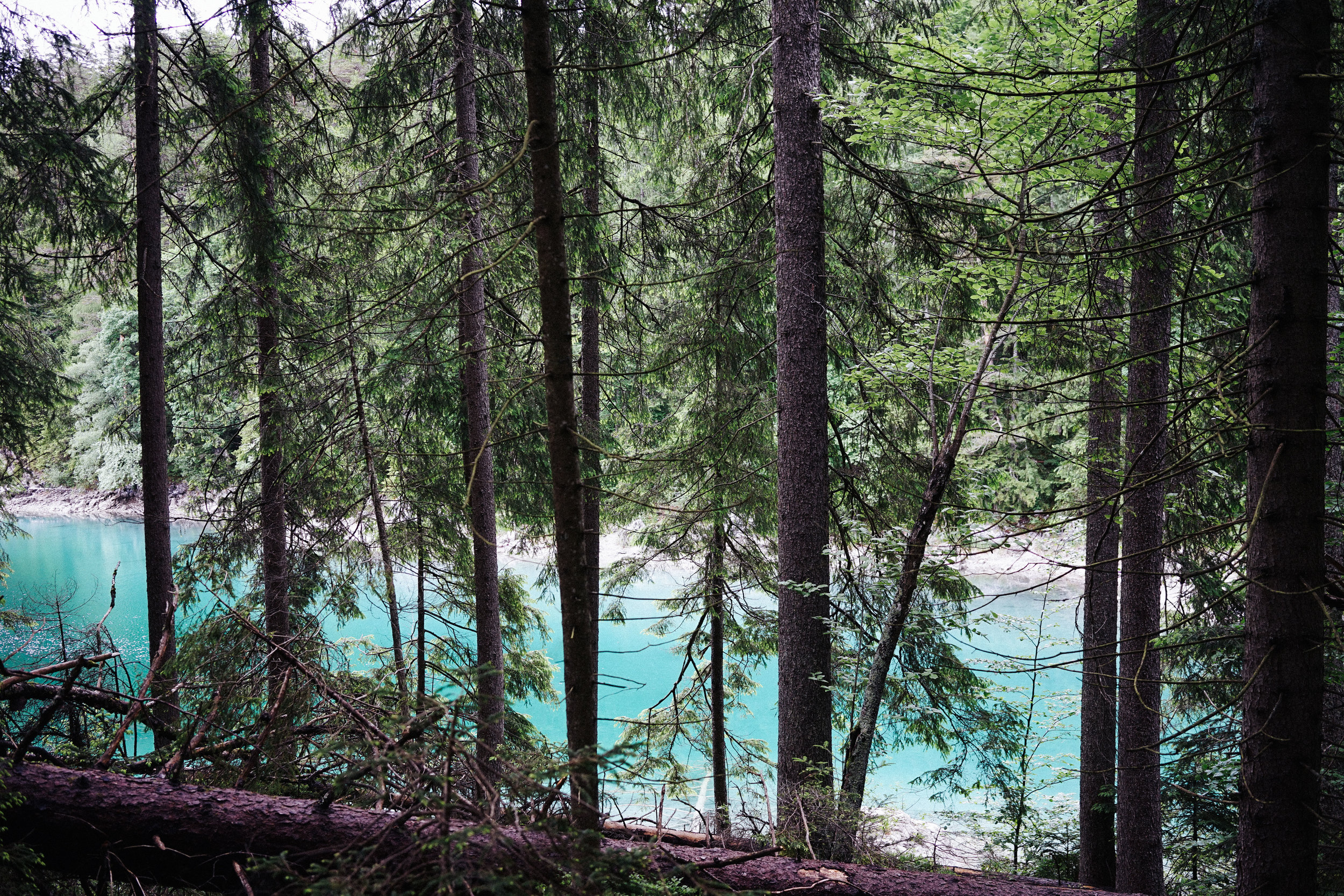 20 Photos to Inspire You to Visit Eibsee Lake in Bavaria — monetsommers