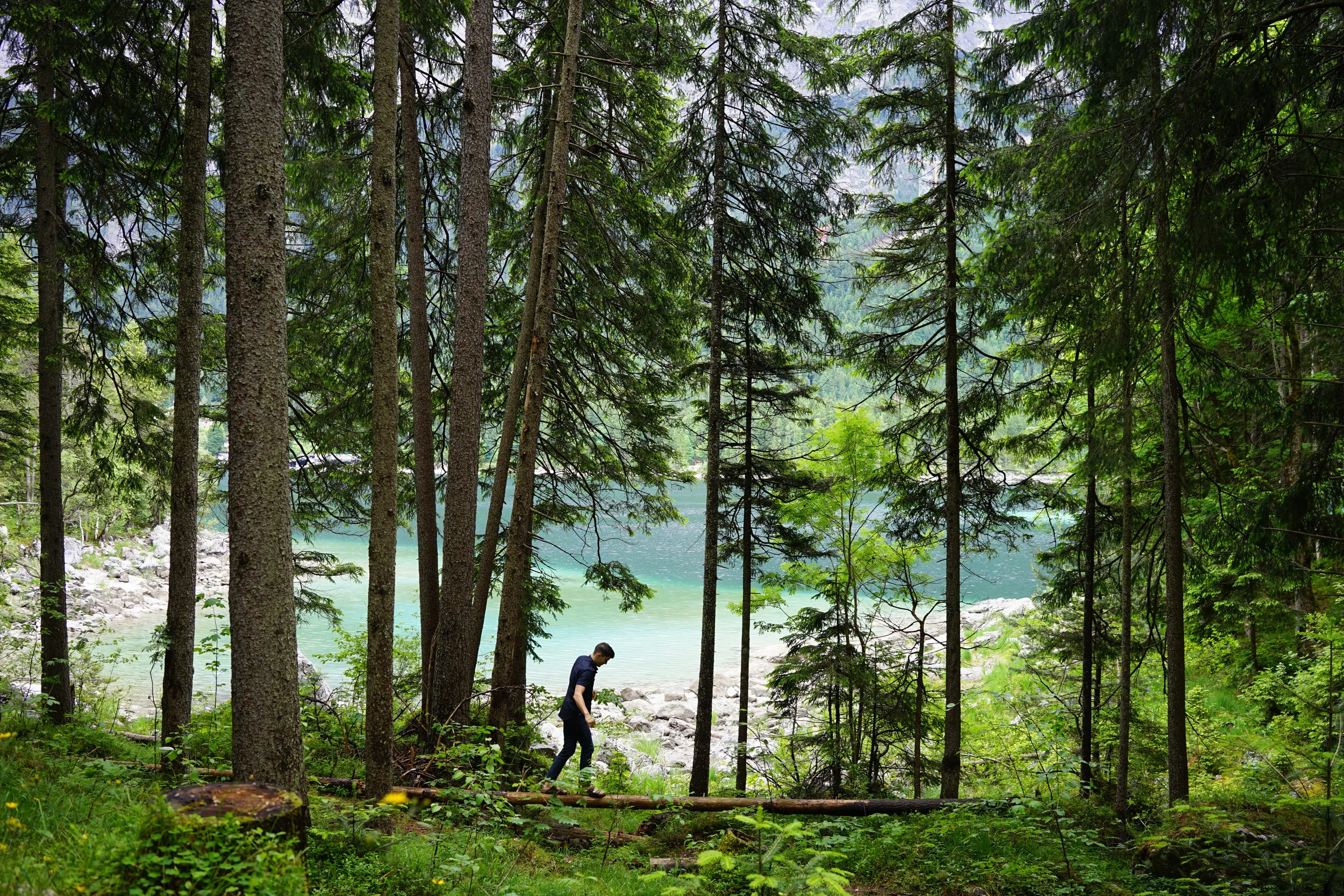 20 Photos to Inspire You to Visit Eibsee Lake in Bavaria — monetsommers
