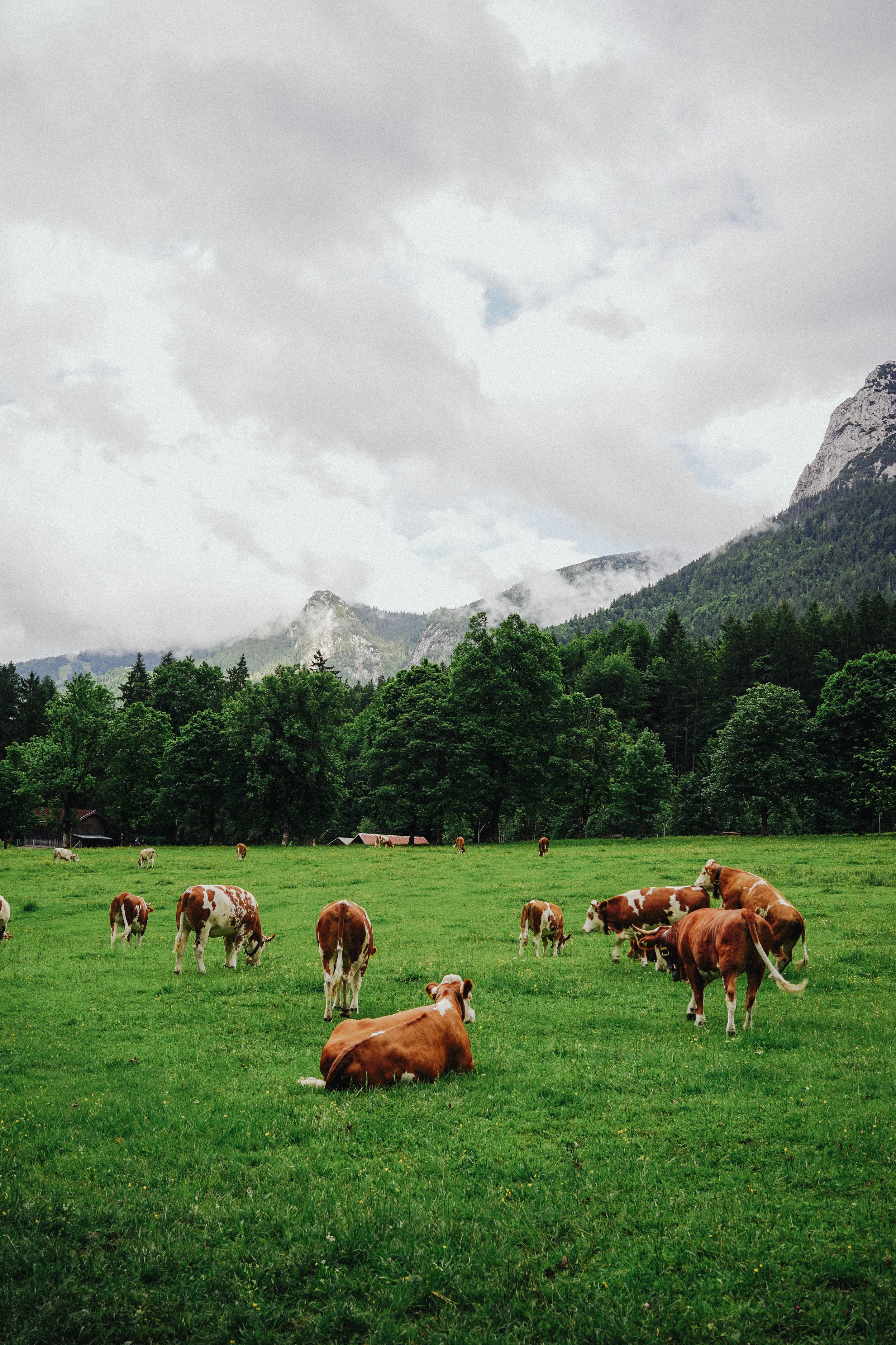 20 Photos to Inspire You to Visit Eibsee Lake in Bavaria — monetsommers