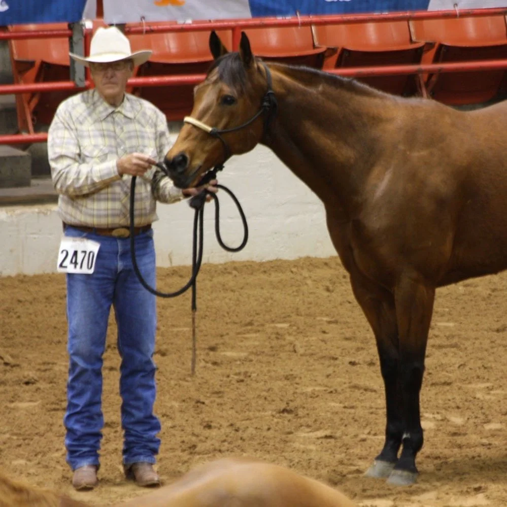 Lineup — National Cowboy Poetry Gathering