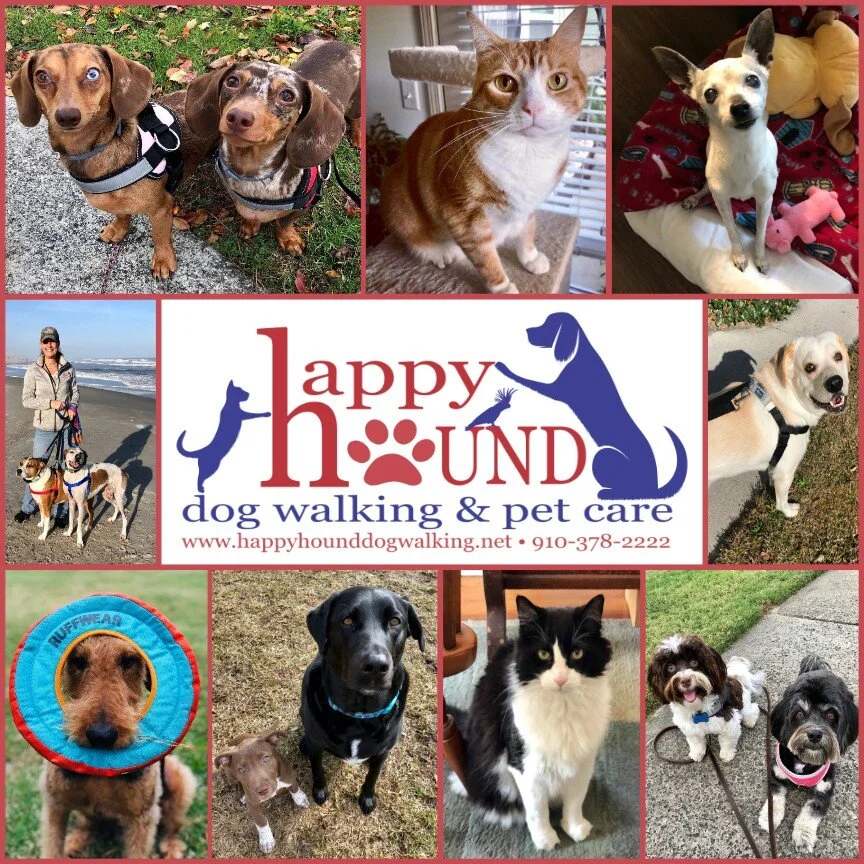 Happy Hound Dog Walking & Pet Care