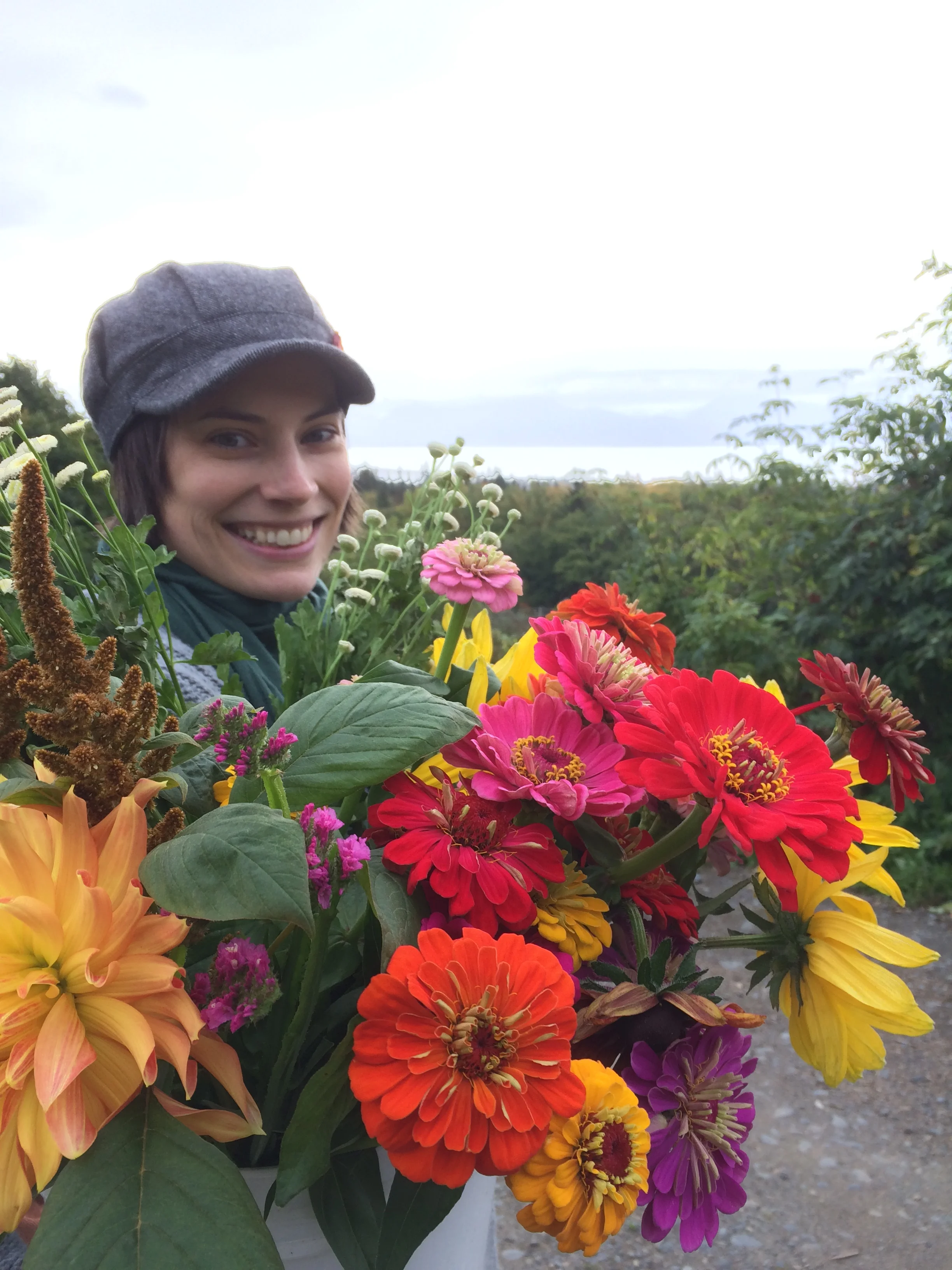 Where to buy — Alaska Stems