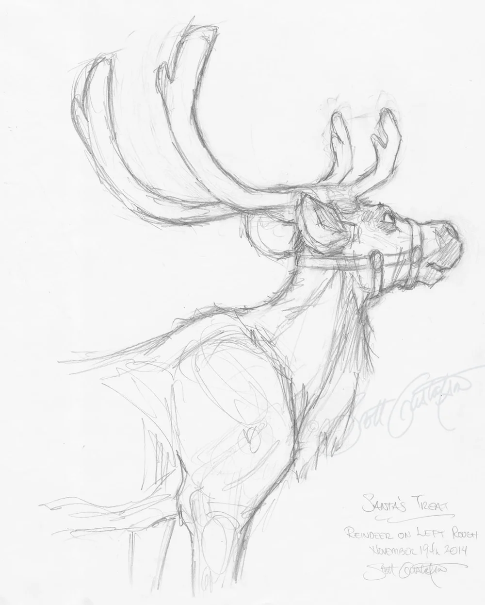 Reindeer Drawing