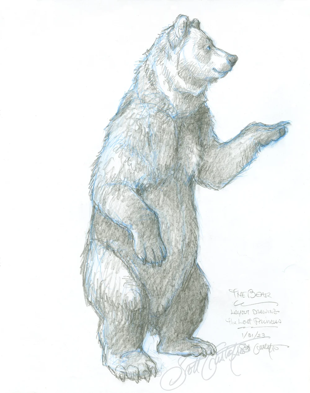 Bear Standing Drawings In Pencil