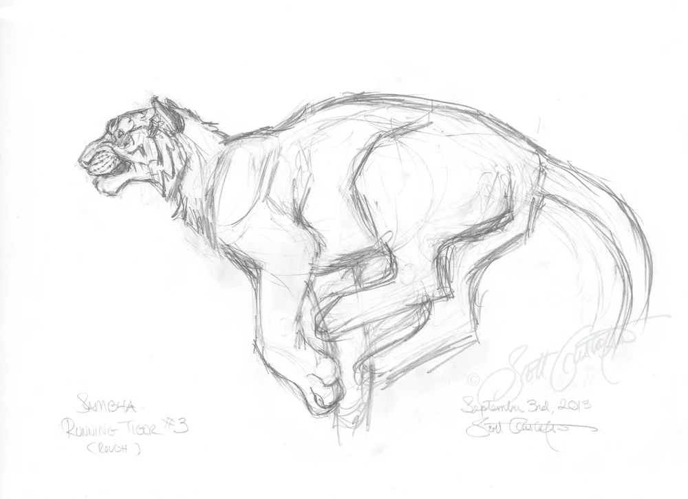 Running Tiger Drawing