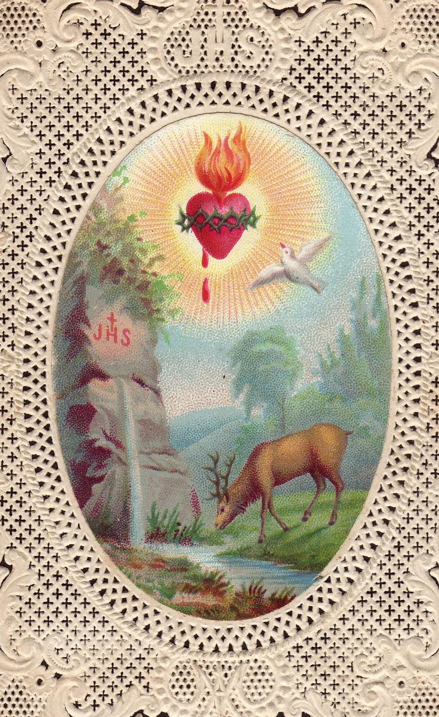 Baptism, First Holy Communion, & Confirmation — ST. ANN & ST. VINCENT