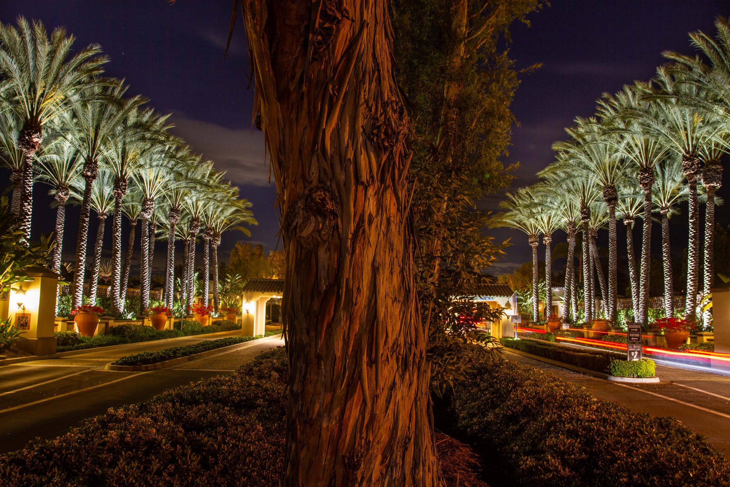 Gallery — Horizon Lighting