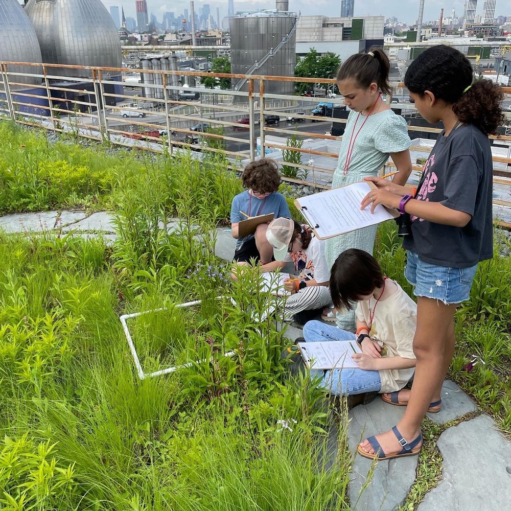 Visit — Kingsland Wildflowers