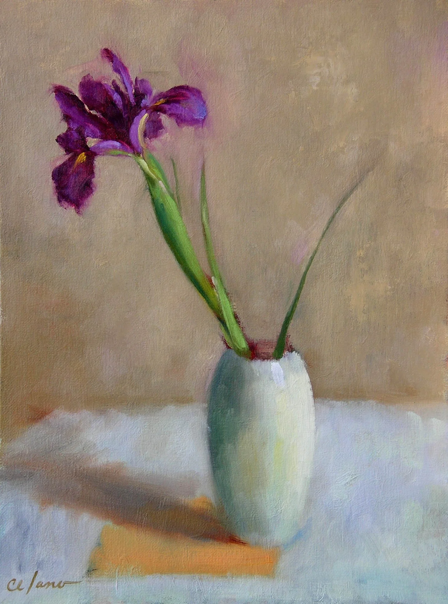 Exhibitions — Ambleside Gallery